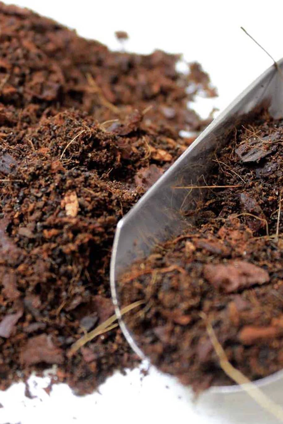 Terrarium Soil Mix: Perfect Blend for Mini Gardens – greenplantshop.ae